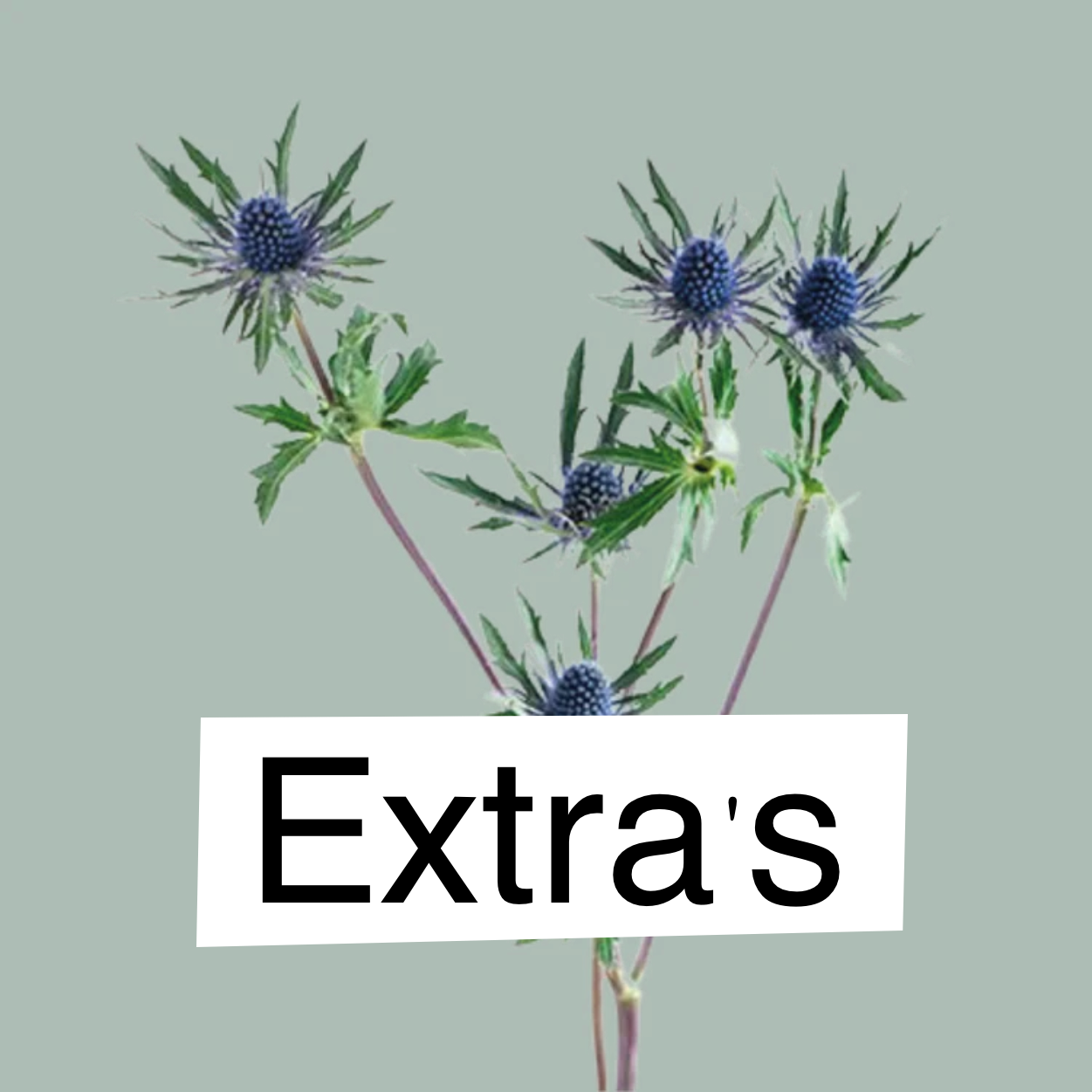 Extras – All Occasions Wholesale