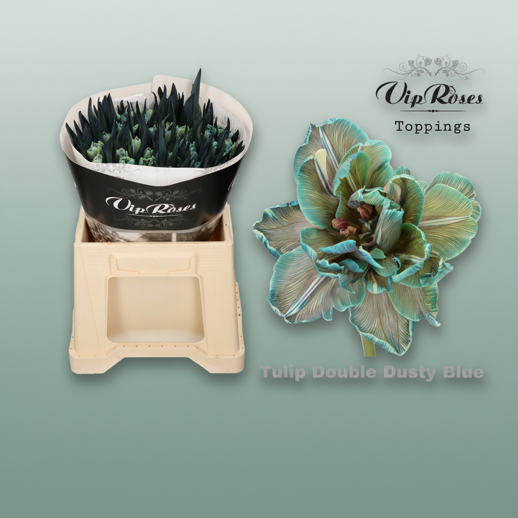 Tulip Dyed Double Dusty Blue – All Occasions Wholesale