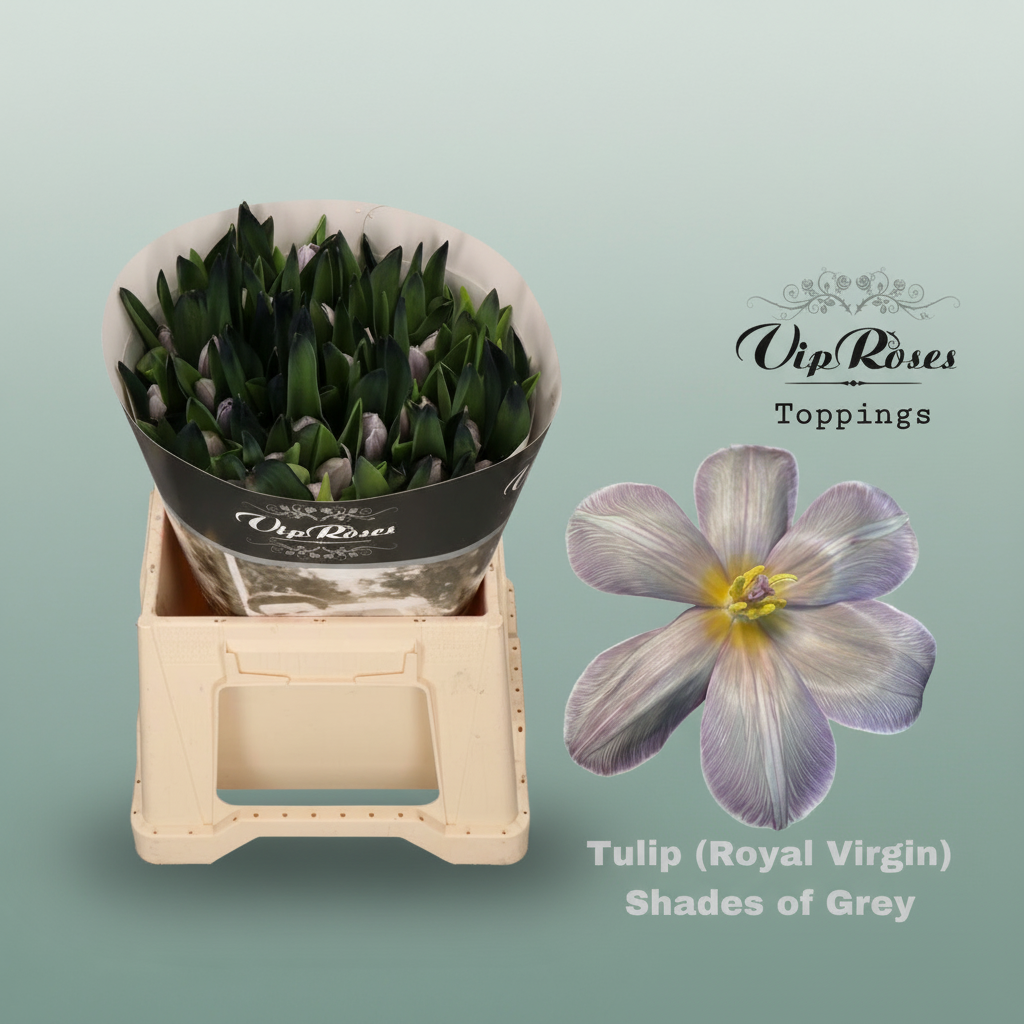 Tulip Dyed Shades Of Grey – All Occasions Wholesale