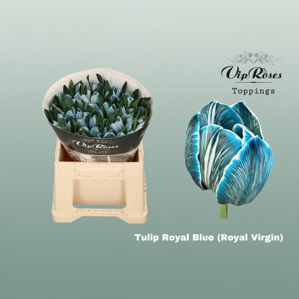 Tulip Dyed Royal Blue – All Occasions Wholesale