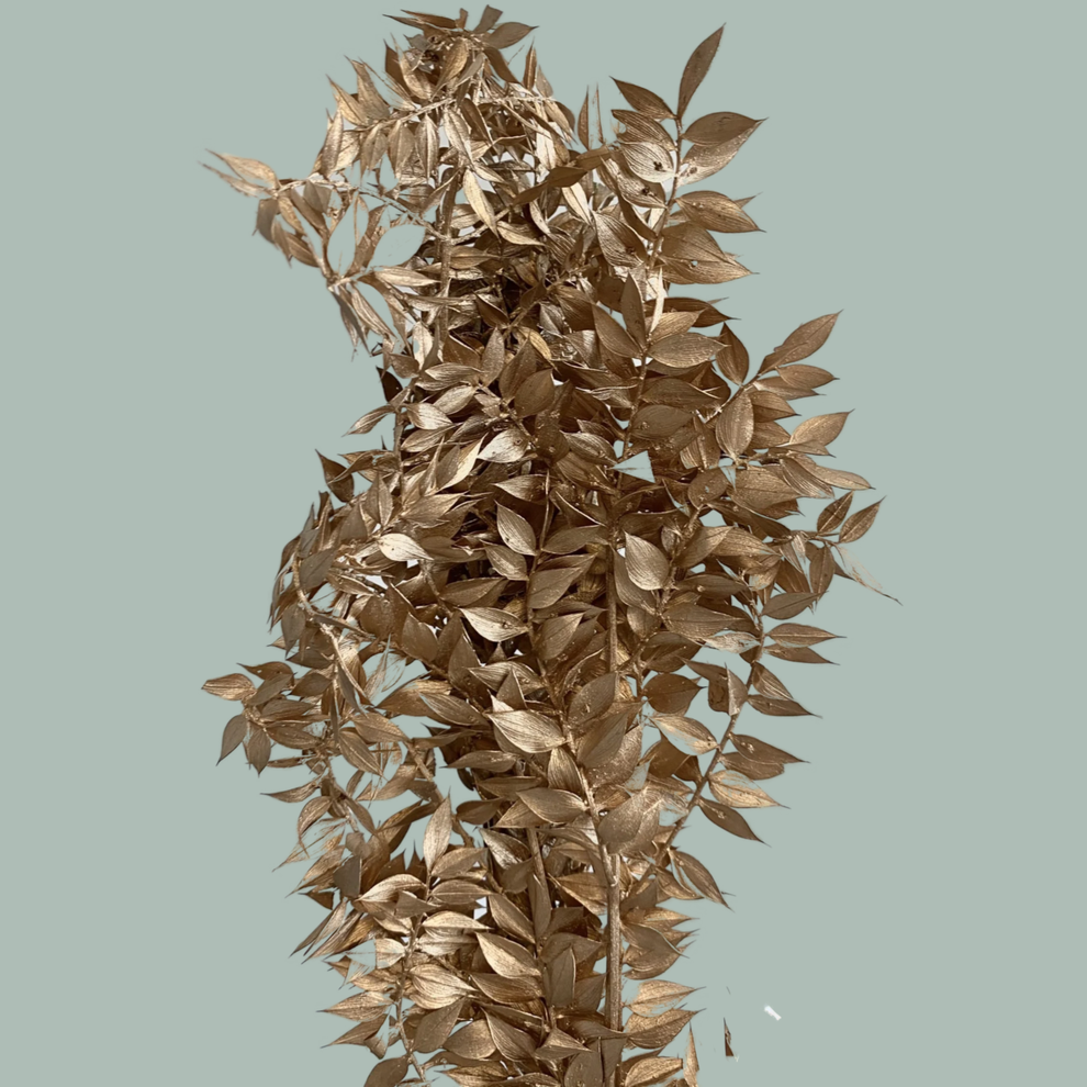 Dec Ruscus Soft Dyed Gold – All Occasions Wholesale