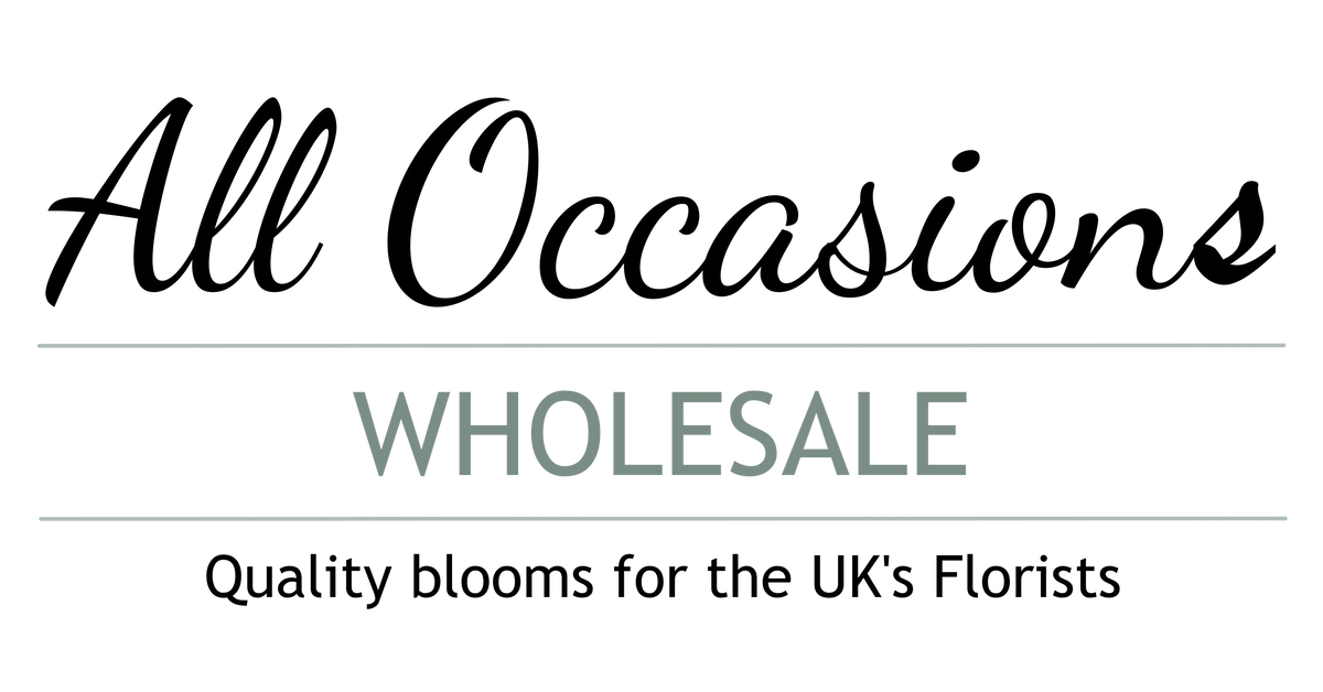 About – All Occasions Wholesale